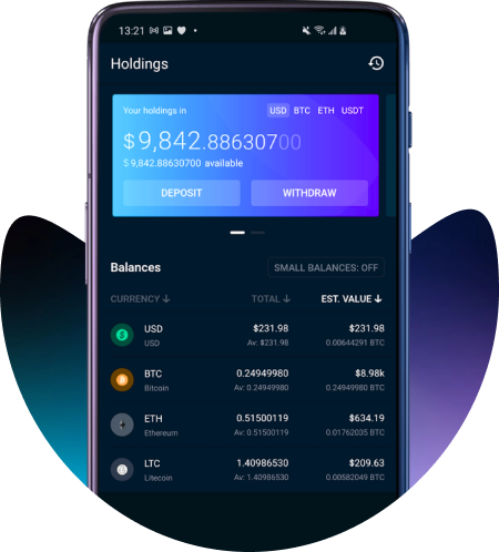 Secure E-Currency Exchange Services